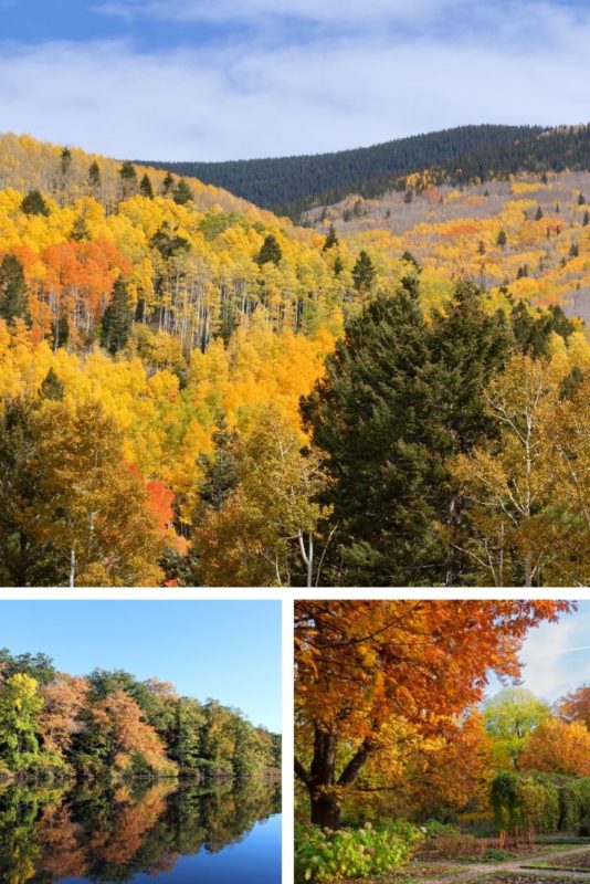 Best Places To See The Fall Foliage in Arkansas [Updated August 2024]