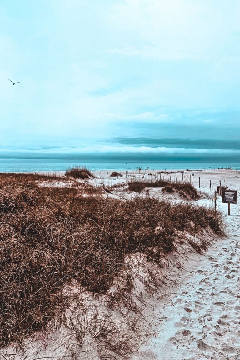 Ultimate Guide to Orange Beach & Gulf Shores Spring Break 2025