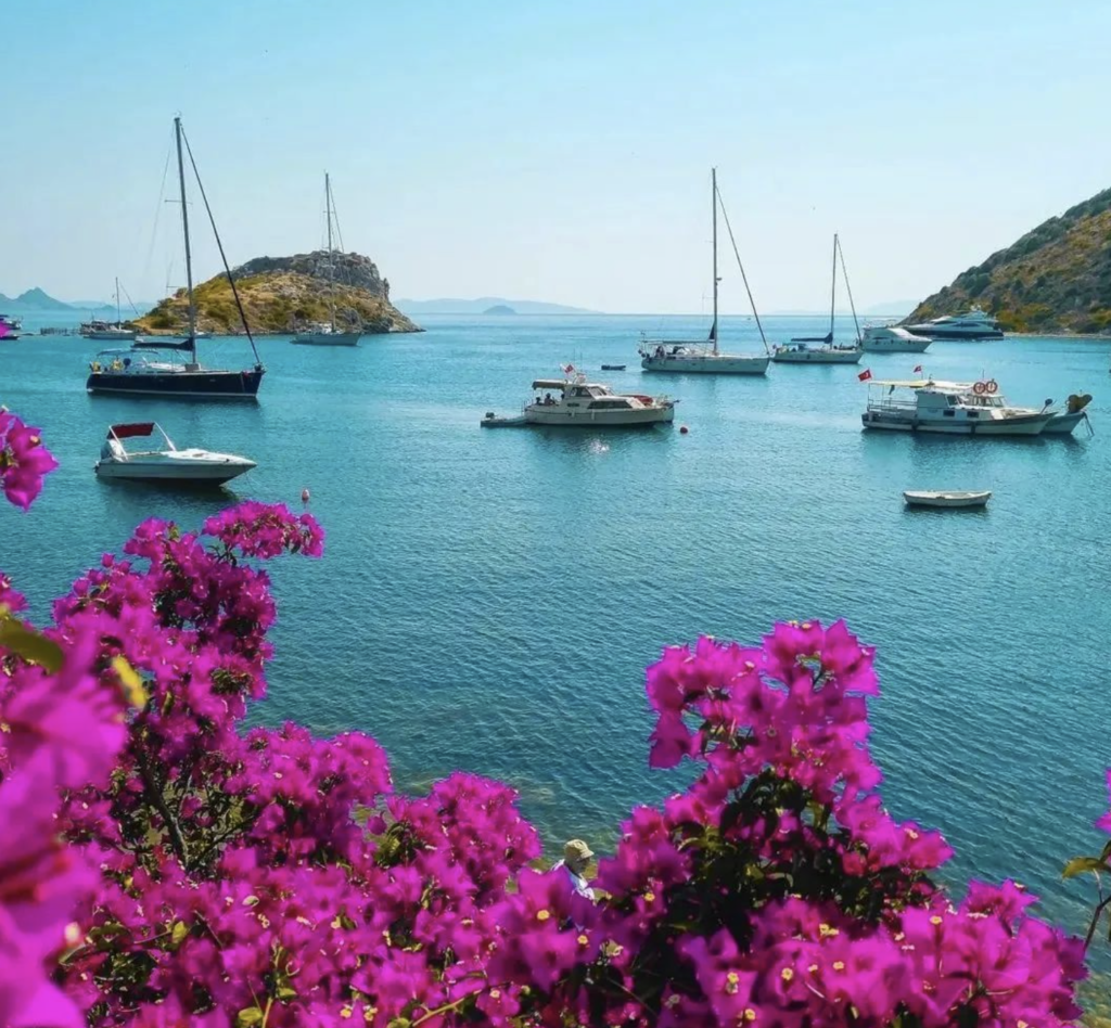 14 Best Bodrum Beaches for 2024 + Maps/Directions Included