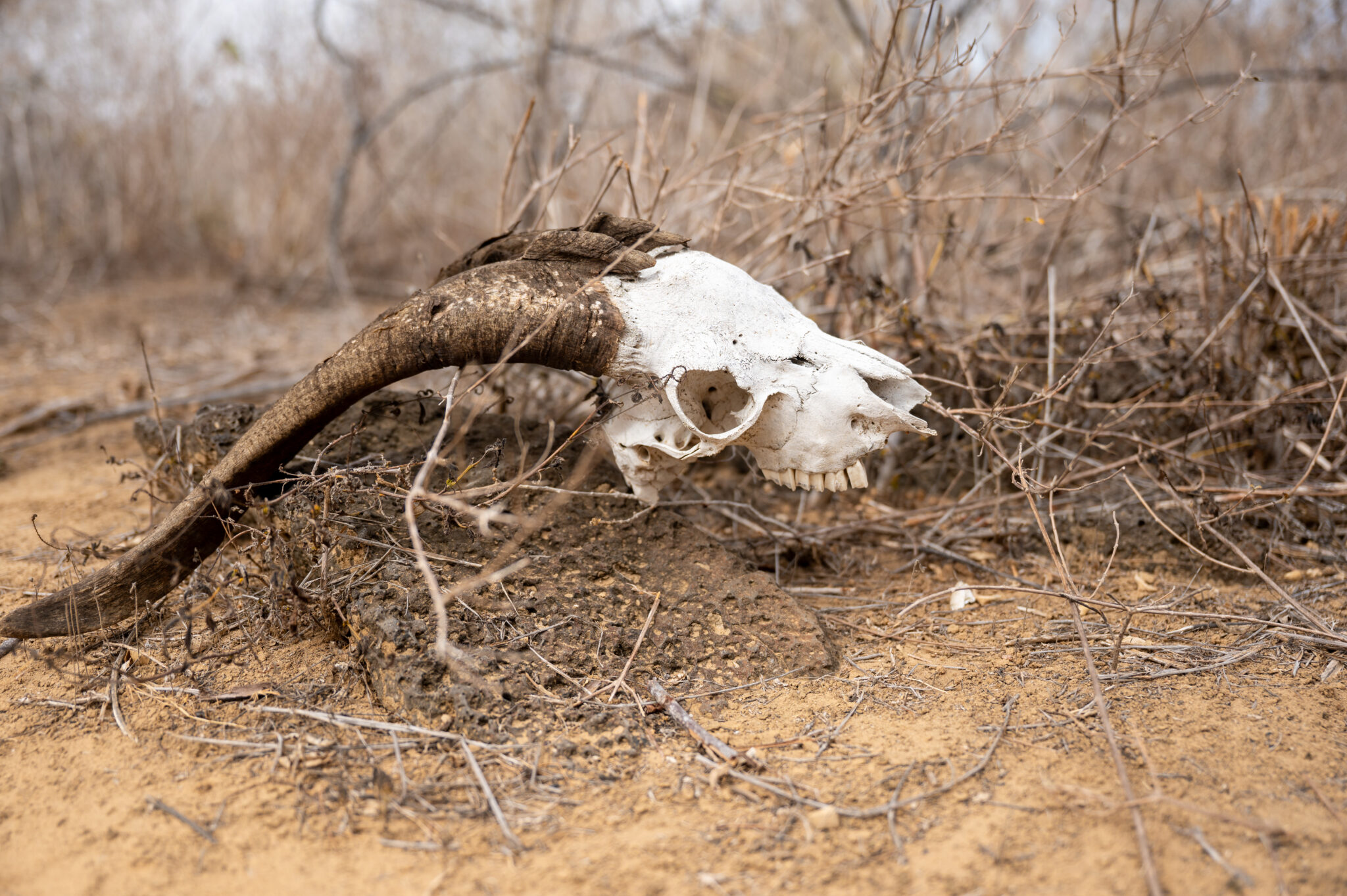 Galapagos Packing List for 2025: What to Bring & What to Leave at Home
