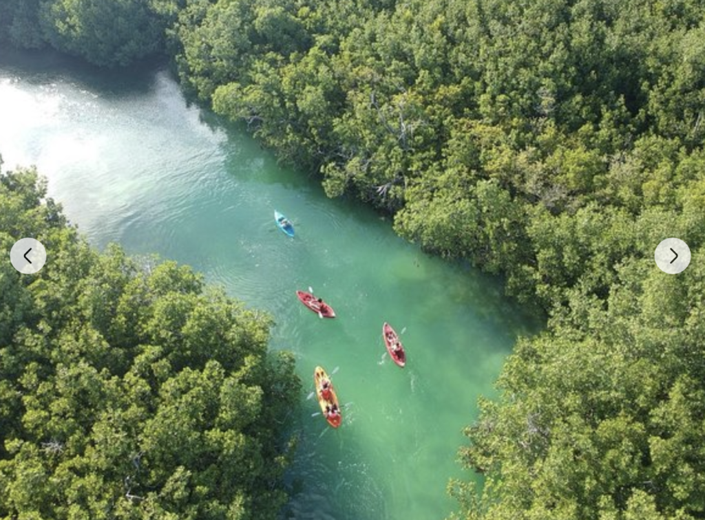 17 Best Riviera Maya Tours and Excursions for 2024