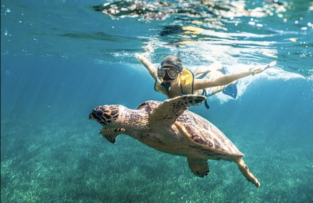 17 Best Riviera Maya Tours and Excursions for 2024